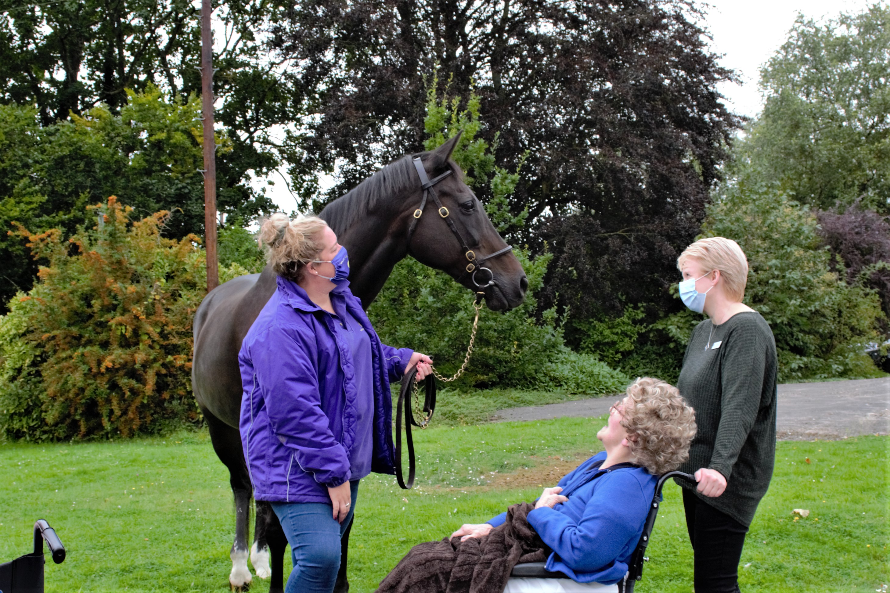 Residents meet former racehorse Ouzbeck | OSJCT