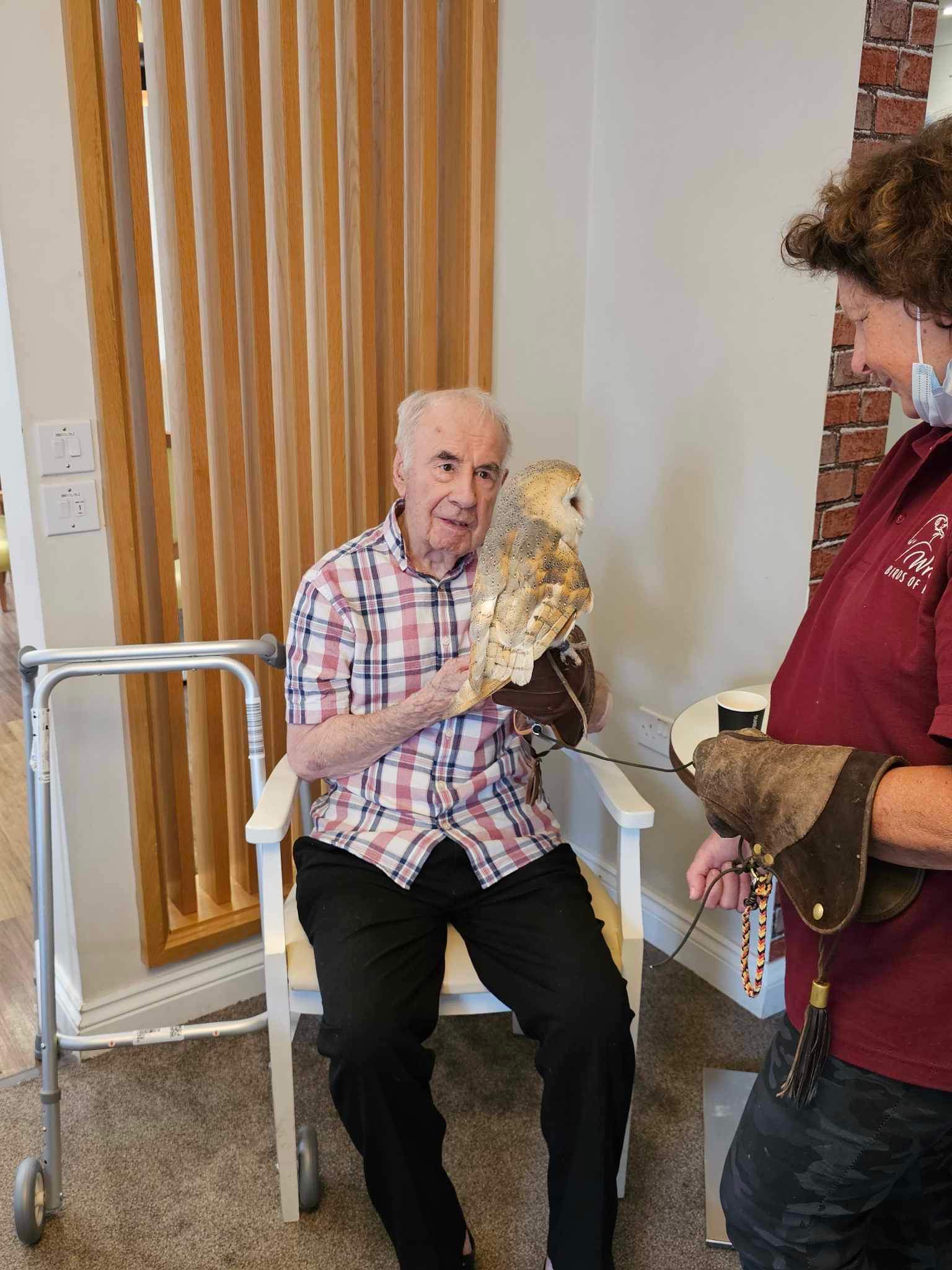 From owls to pussycats, beaches and beer to Bollywood: it’s summer-time ...