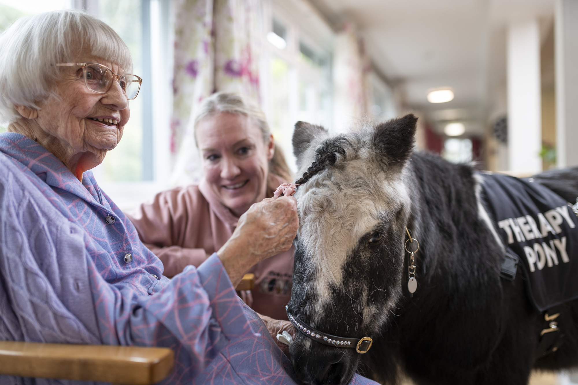 103-year-old Pip meets Poppy, Mini-Shetland Pony | OSJCT