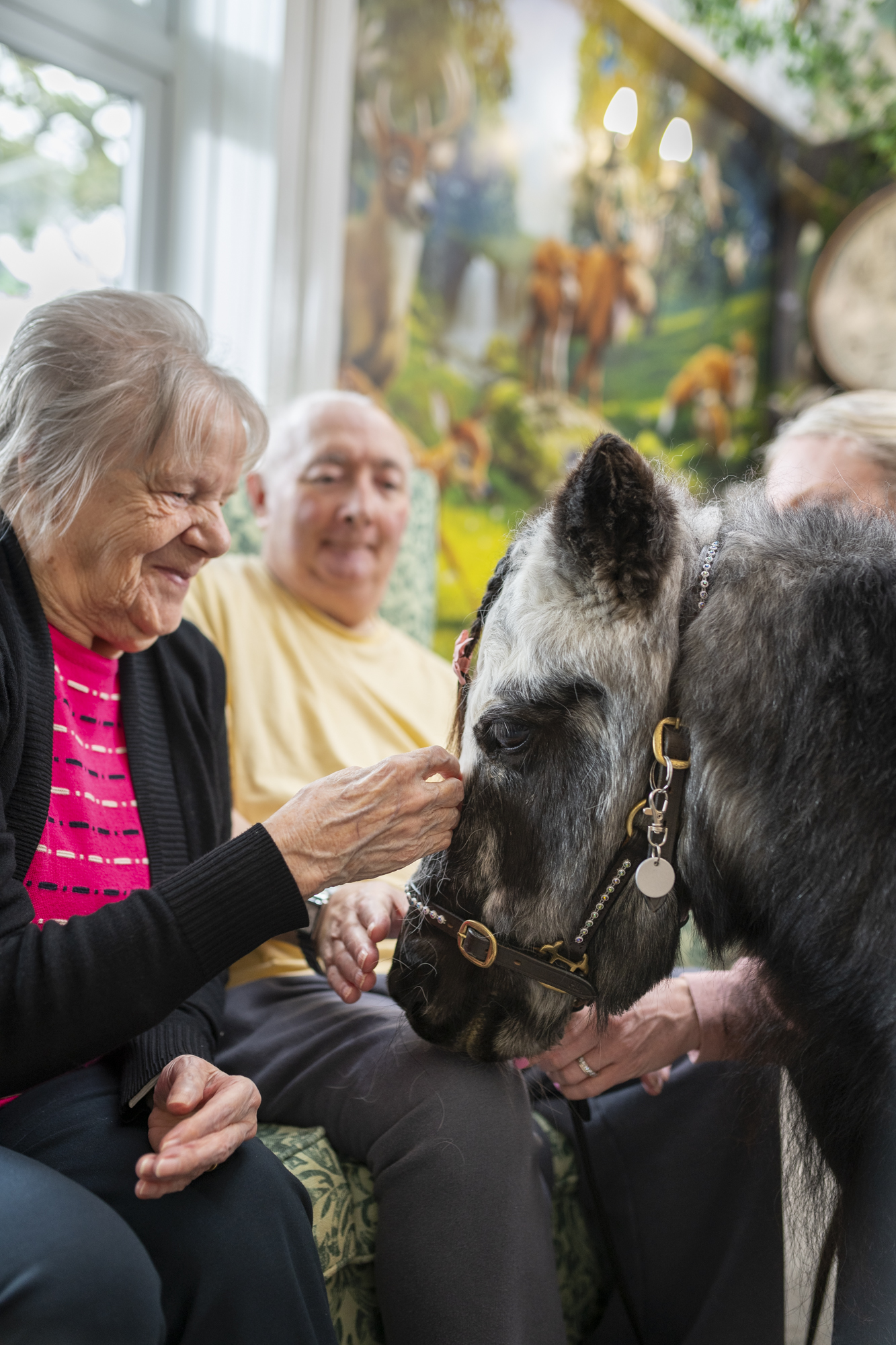 Mini Shetland Pony, Poppy, delights residents at Purton care home, The ...